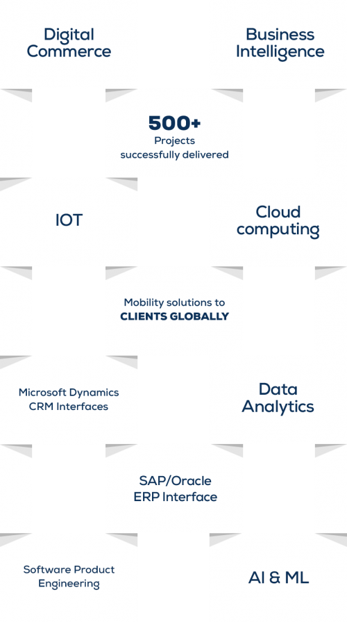 About Us - Netwin Infosolutions