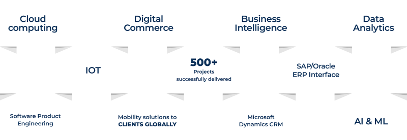 About Us | Netwin Infosolutions